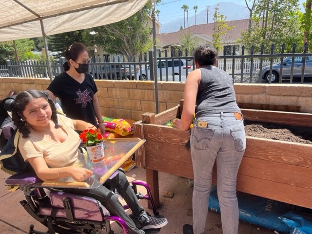 Volunteer - Valley Village Where Adults With Developmental Challenges ...