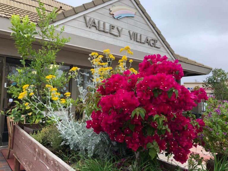 Momentum Valley Village Celebrates 50 years of service - Valley Village ...